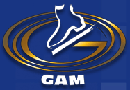 Gam Boot & Blade Sets – The Sharper Edge Skates